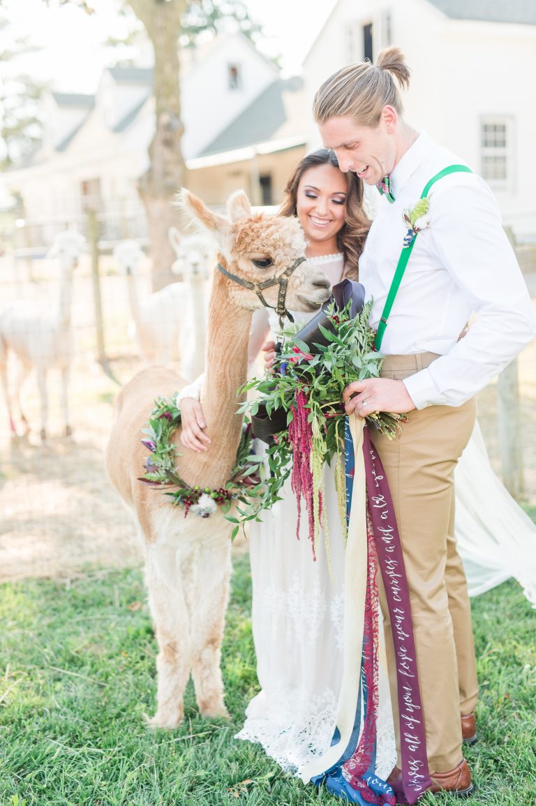 Edel Haus Alpaca Farm Wedding Photoshoot with Something Blue